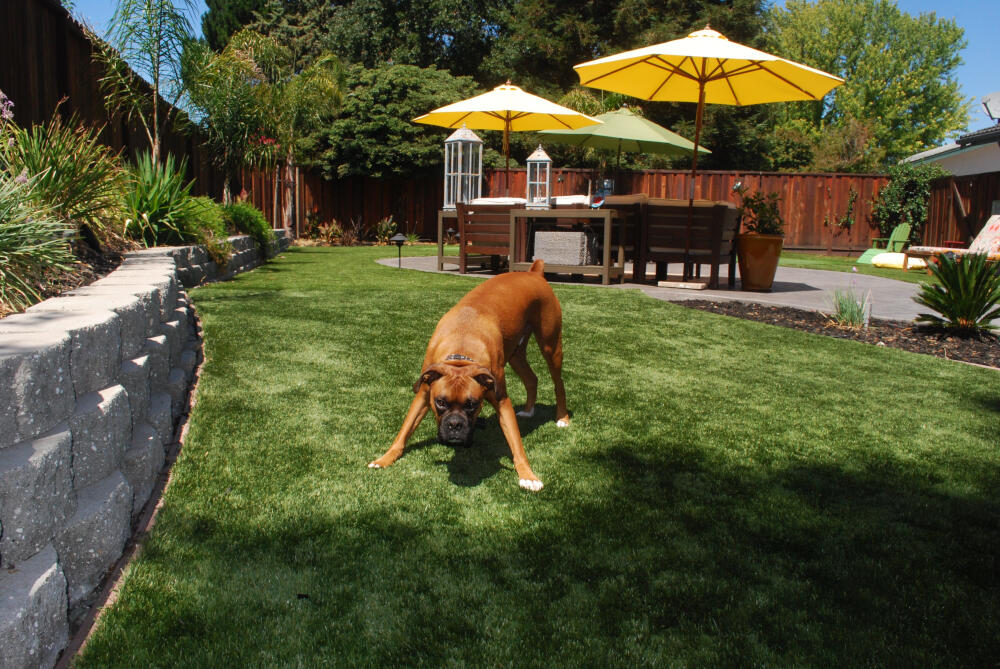 Artificial Pet Turf for Pet Parks in Pittsburgh | Southwest Greens ...